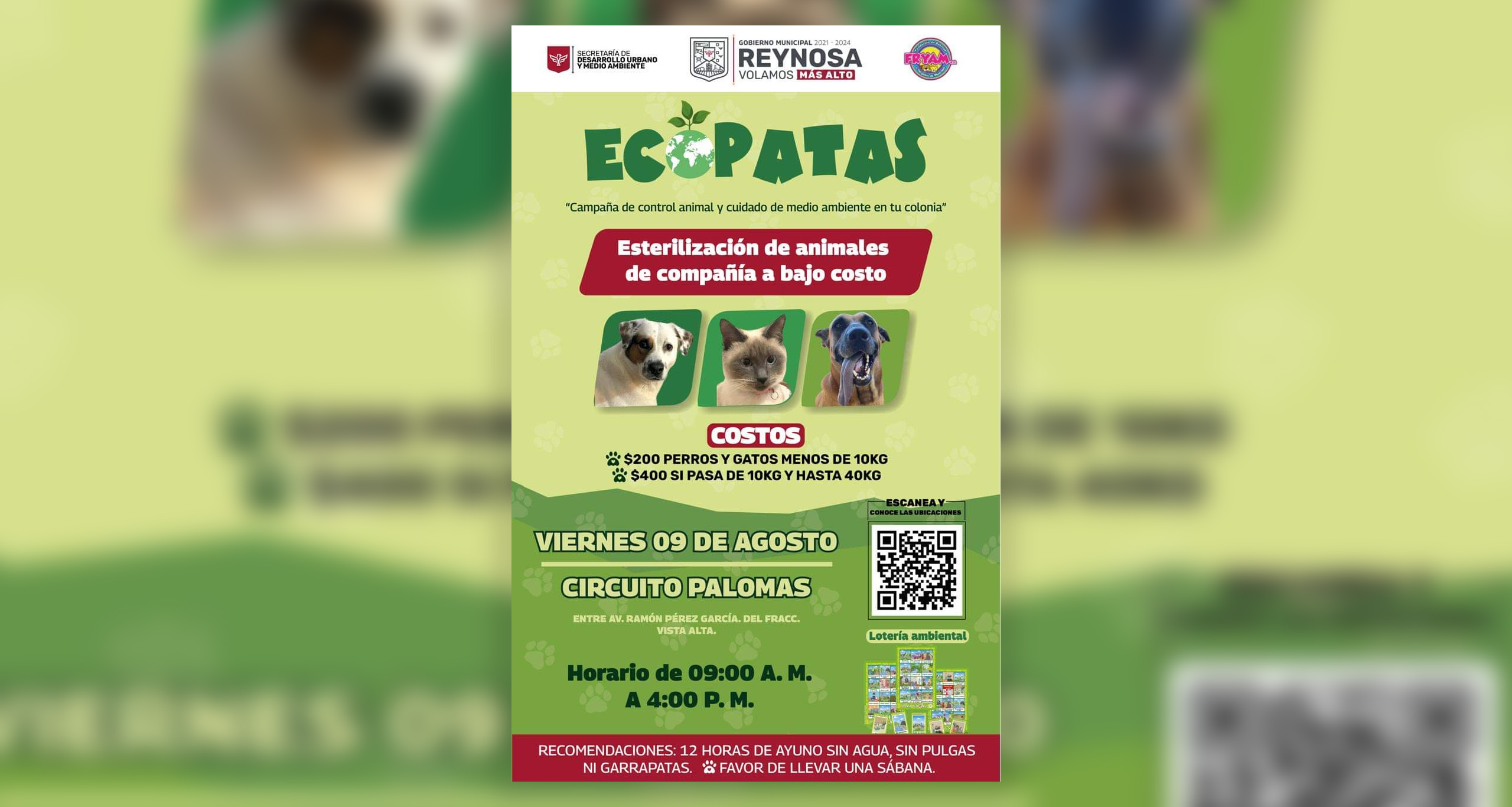 Anuncia Gobierno de Carlos Peña Ortiz campaña ECOPATAS en Vista Alta – Administración Municipal ...